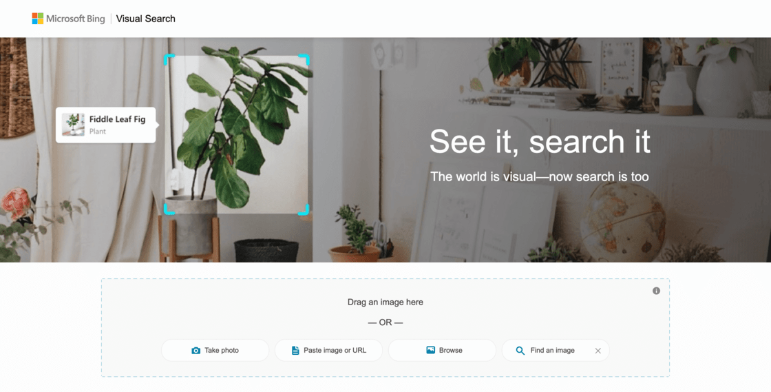 Reverse Video Search: Online Tools + How-to