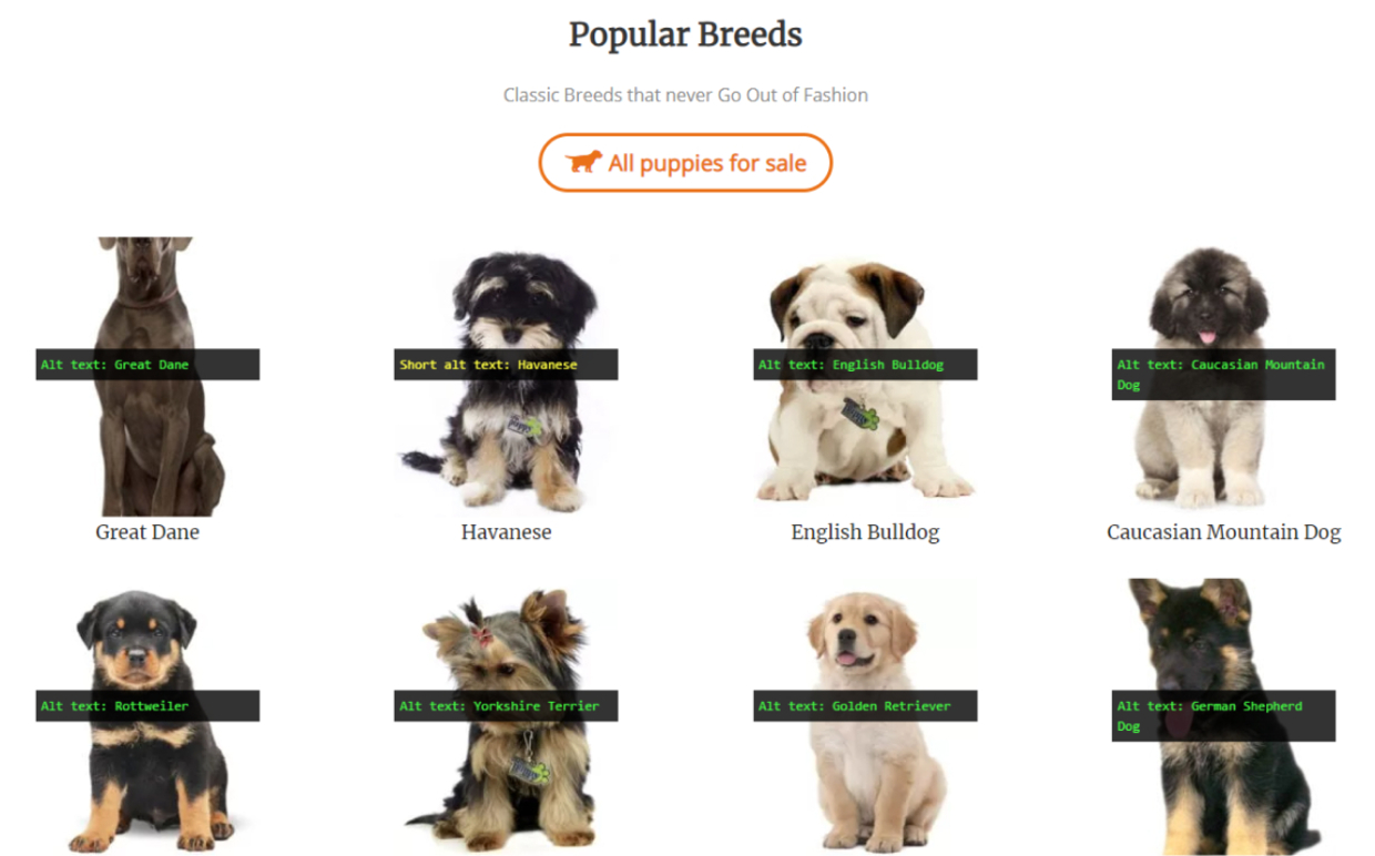 How to Find and Fix Missing Alt Text [Image Alt Text Checkers Included]