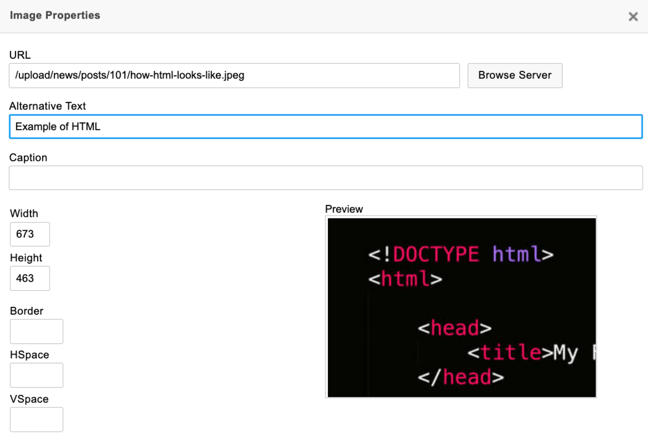 Alt Text — definition, explanation + SEO best practices