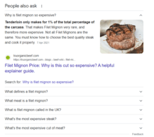 People also ask - definition, explanation + SEO tips