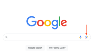 Reverse Video Search: Online Tools + How-to