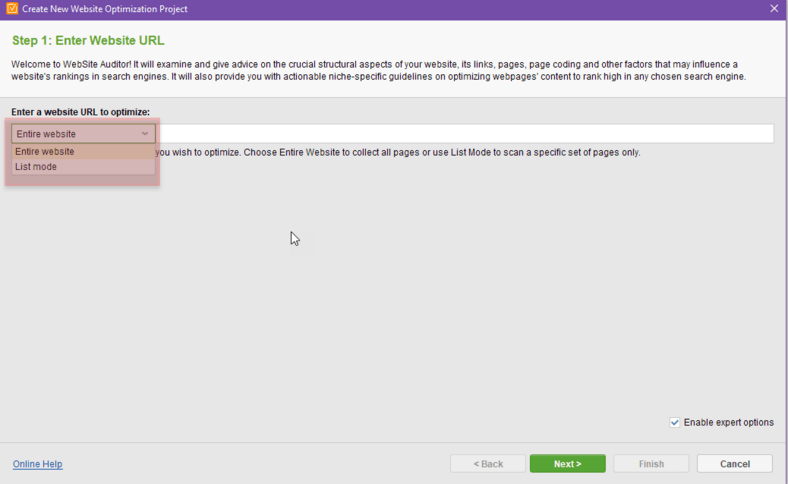 Creating a Project | Project Setup | Website Auditor