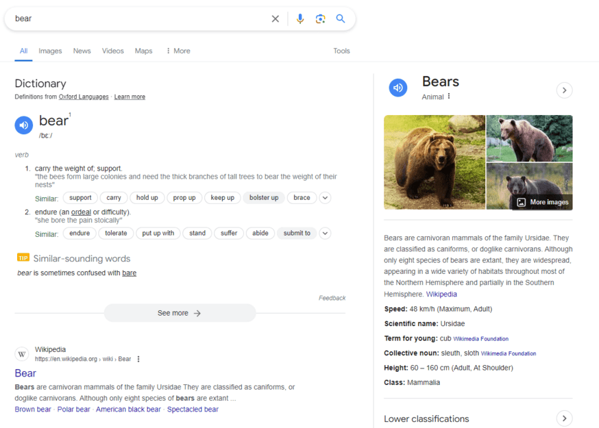 Stop Words in SEO Explained + Stop Word List